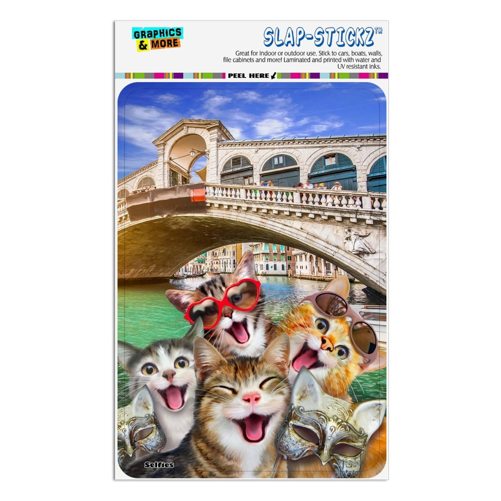 Venice Italy Cats Selfie Home Business Office Sign - Walmart.com