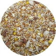 Wagner's Shell Free Premium Wild Bird Feed, 5 lb - Walmart Business ...