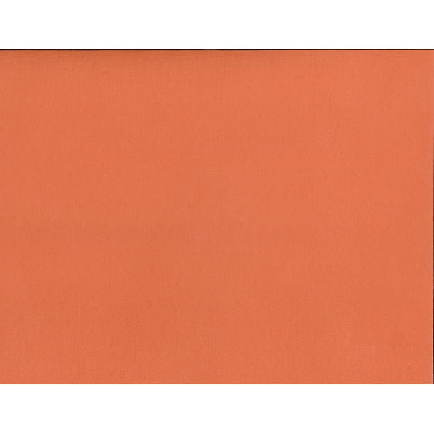 STOCK-SAL Adhesive-Backed stock, Salmon - Walmart.ca