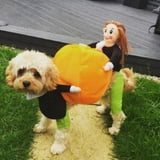Hobeauty Pumpkin Pet Costume Halloween Pet Costume Cute Pumpkin Design ...