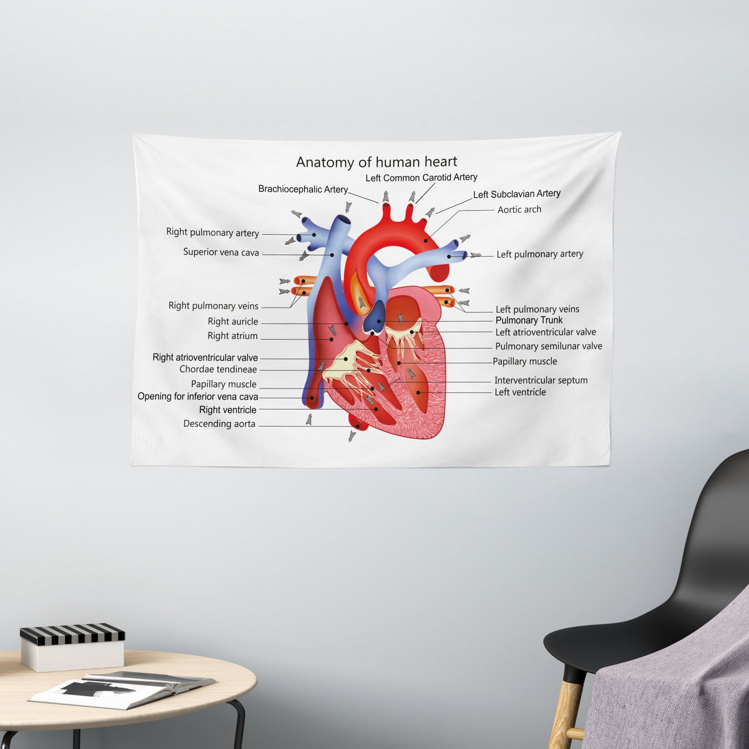 Educational Tapestry, Medical Structure of the Hearts Human Body ...