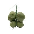 CIYISON Artificial Coconut Fake Coconut Simulation Coconut Plastic ...