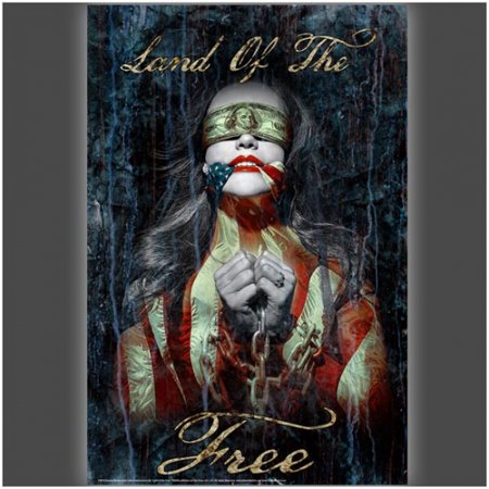 Land of the Free Poster by Daveed Benito (24 x 36) | Walmart Canada