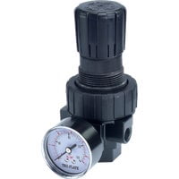 Shurflo 65 PSI Wall Mount Water Pressure Regulator, Chrome - Walmart.com