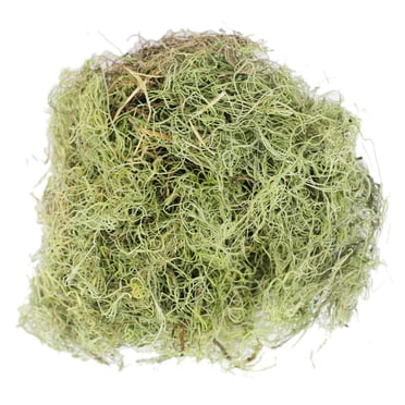 ProFlora Brown Spanish Natural Moss - Floral Arranging Supplies ...