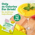 Craftmix Mango Margarita, Makes 12 Drinks, Skinny Cocktail Mixers ...