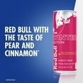 Red Bull Winter Edition Pear Cinnamon Energy Drink, 8.4 fl oz Can ...