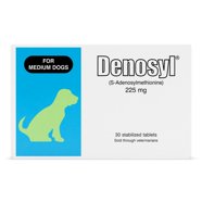 Nutramax Denosyl Tablets for Cats & Small Dogs, 30 Tablets - Walmart.com
