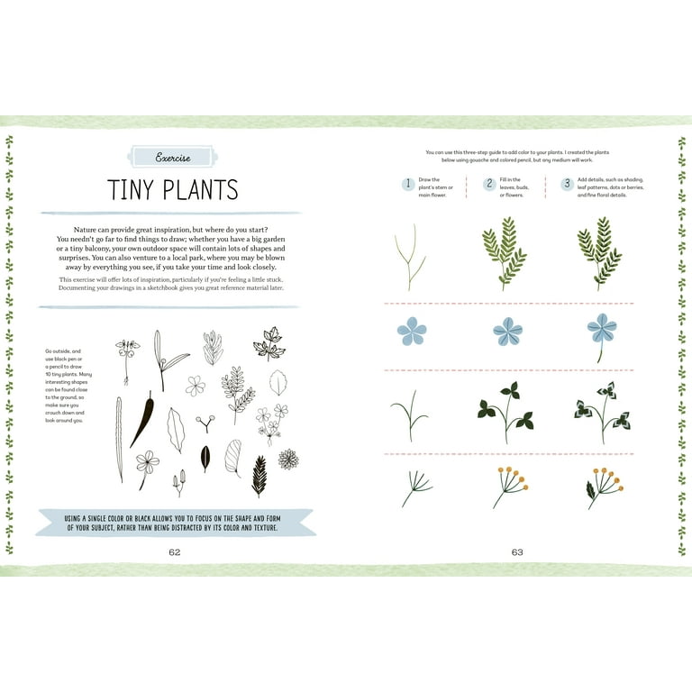 Everyday Items To Draw