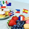 AOOOWER 100Pcs Colorful International Flag Paper Wood Toothpick Cupcake ...