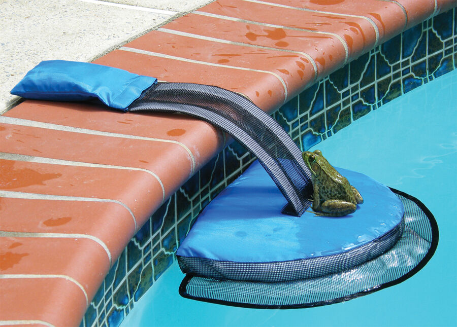 Swimline 70200 The FrogLog For Above Ground & In-Ground Swimming Pools ...