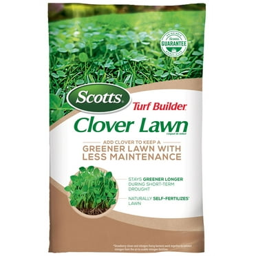 Micro Clover Seed - 1 Lb. for Garden Planting, Grow Mix - Walmart.com