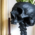 Resin Skull Planter & Spine Stand Set, Polyresin Skulls Pot, Halloween ...