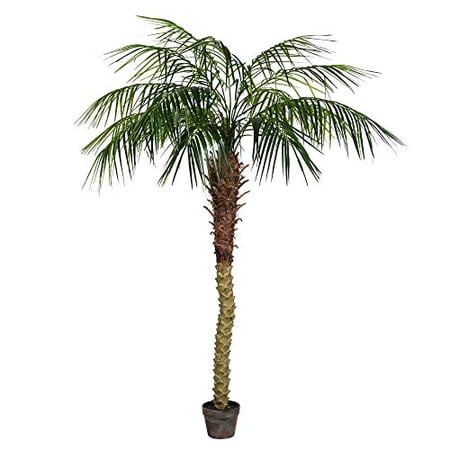 Vickerman Everyday Artificial Phoenix Palm Tree 6 Foot Tall For Indoor ...