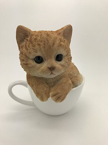 Micro Teacup Kittens