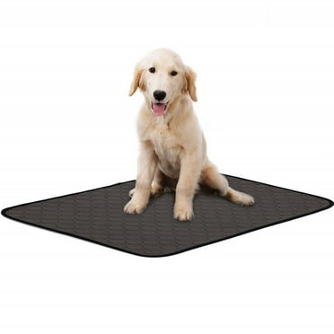 Vibrant Life, Durable & Water-Resistant Crate Mat, Black, 24" - Walmart.com