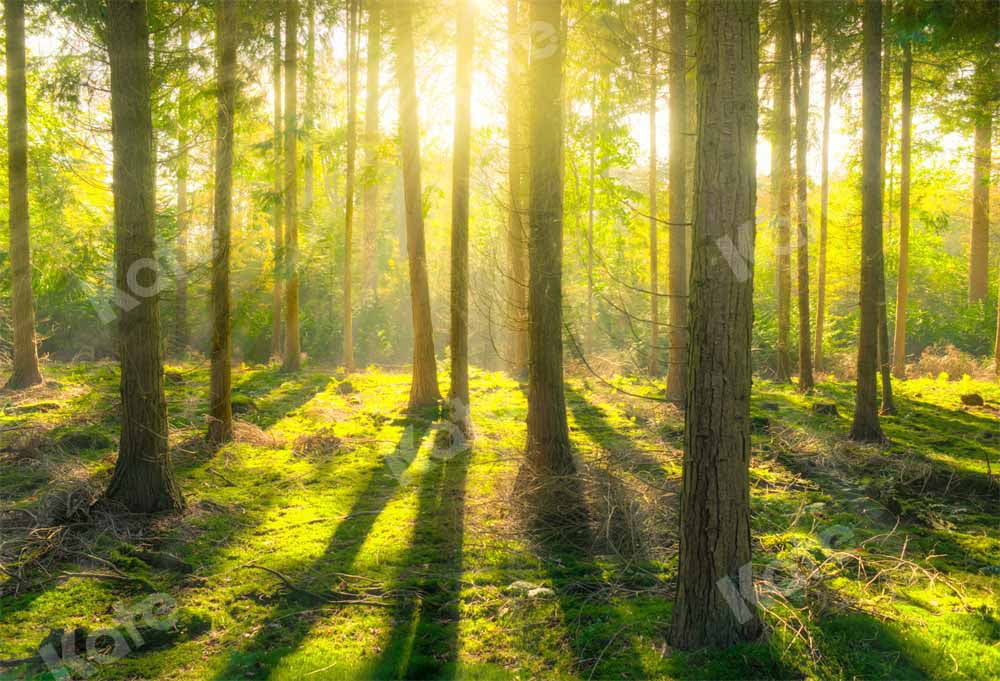 Kate 8x8ft Spring Forest Photography Backdrops Sunshine Birthday Party ...