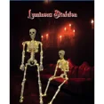 Halloween Skeleton LED Light Up Pose Stay Halloween Skeleton Full Body ...