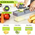 Vesteel 14 in 1 Multipurpose Vegetable Grater & Chopper with 8 Blades ...