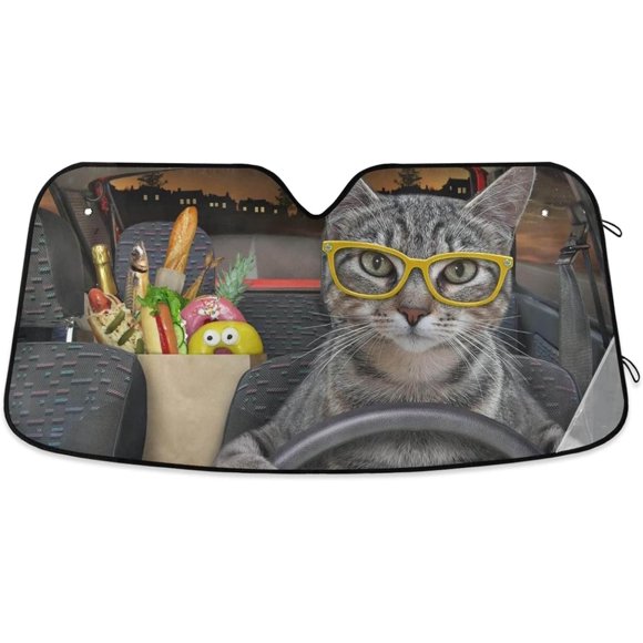 Windshield Sun Shade Funny