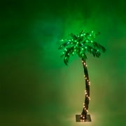 Lighted Indoor Trees