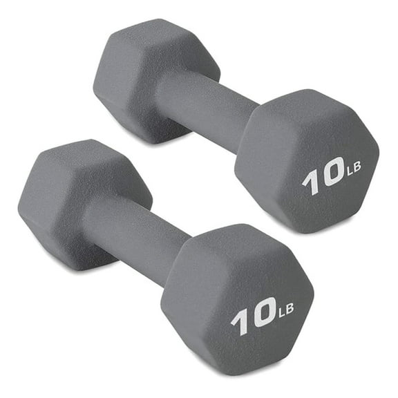 Free Shipping! The PlateMate 1.25 lb Hex -Magnetic Weight Plate for Hex ...