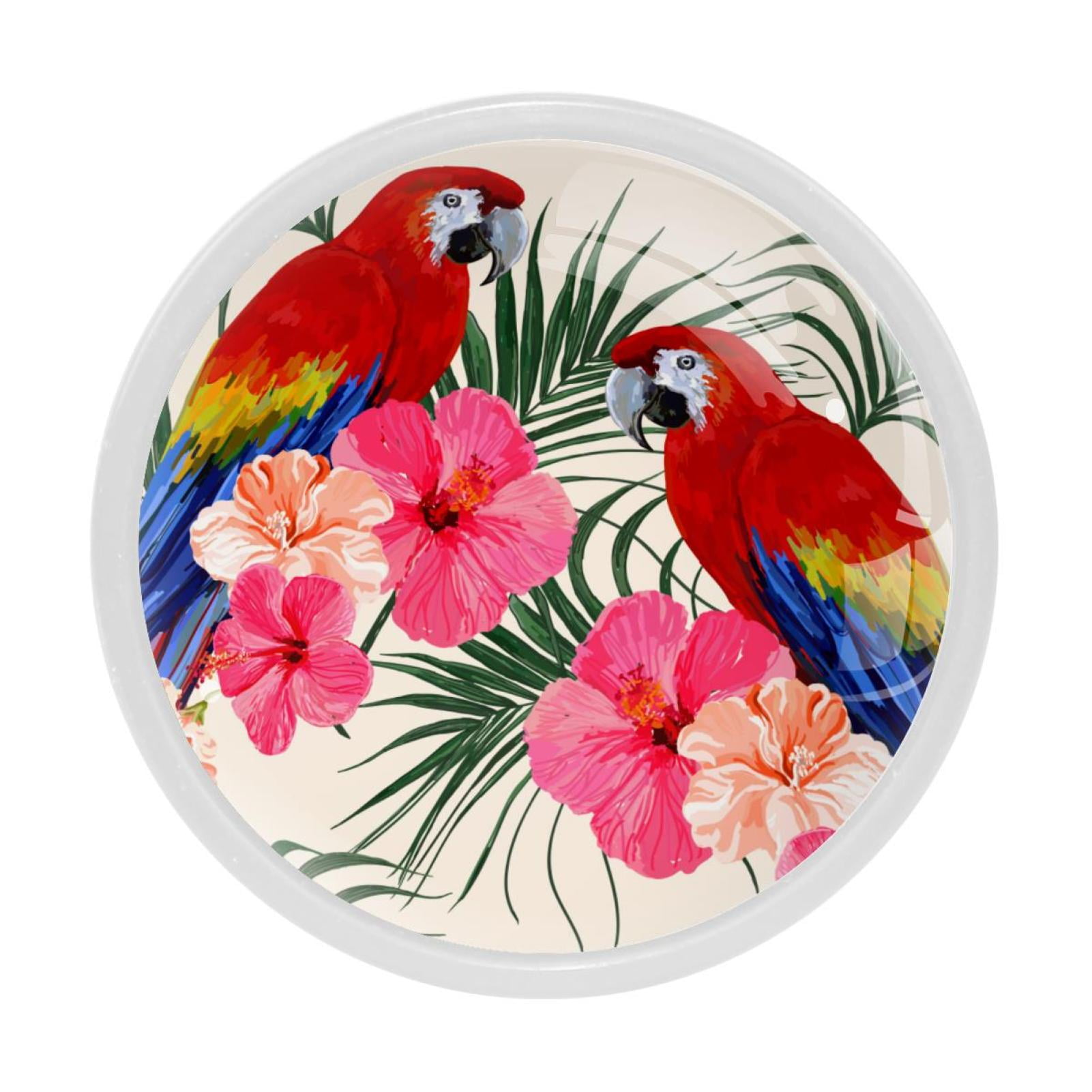 4 Pcs Parrot Knobs for Kitchen Cabinet Cupboard Dresser Bookcase Drawer ...