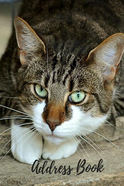 Address Book: Cat for Contact, 6 by 9 for Contacts, Addresses, Phone ...