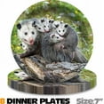 Opossum Birthday Party Supplies Decorations Plates Cake Topper Backdrop ...