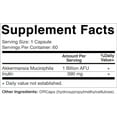 Vitamatic Akkermansia Muciniphila Dietary Supplement - 60 DR Capsules ...