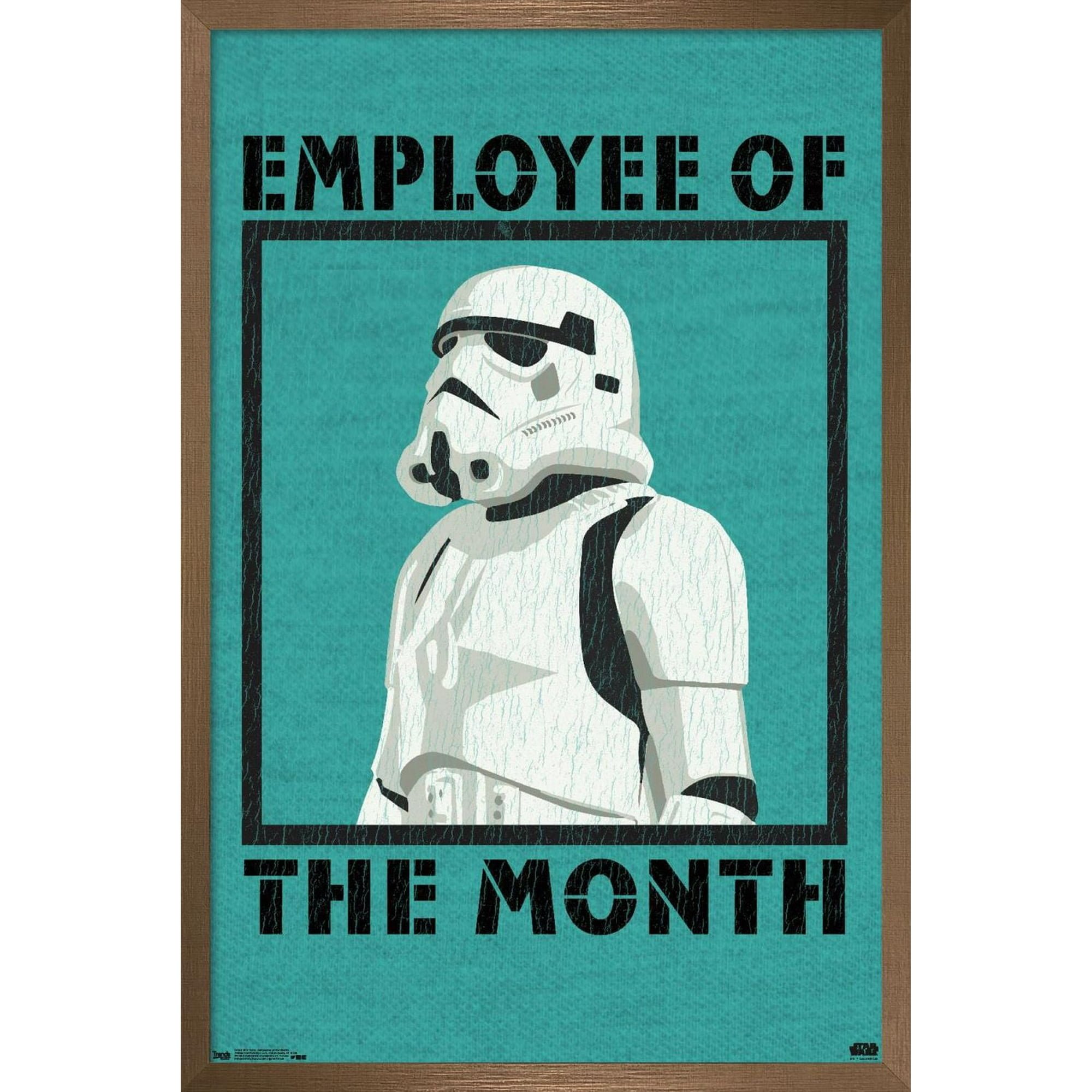 Click here for Trends International Star Wars: Saga - Employee Of... prices