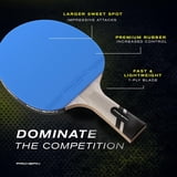 Free Shipping! PRO SPIN Carbon Fiber Ping Pong Paddles, Violet and Blue ...