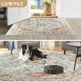 OKO-TEX Machine Washable Persian Indoor Area Rugs Vintage Distressed ...