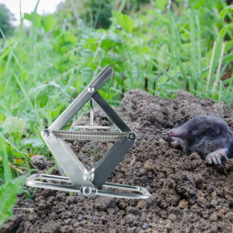 Vole Traps Bait