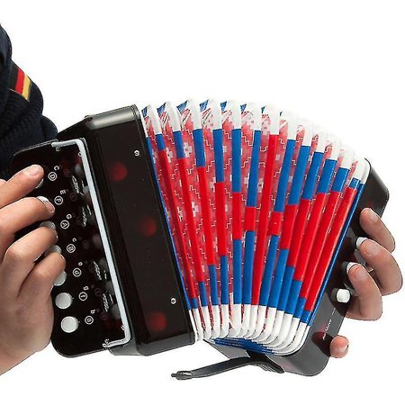 Pink Accordion Bandoneon Accoridan Musical Instruments For Kids ...
