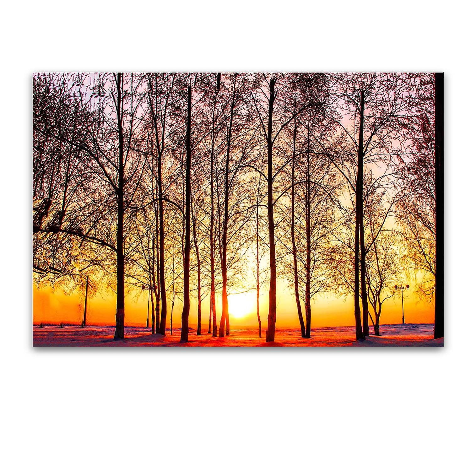 Startonight Tempered Acrylic Glass Wall Art - Landscape Theme Morning ...