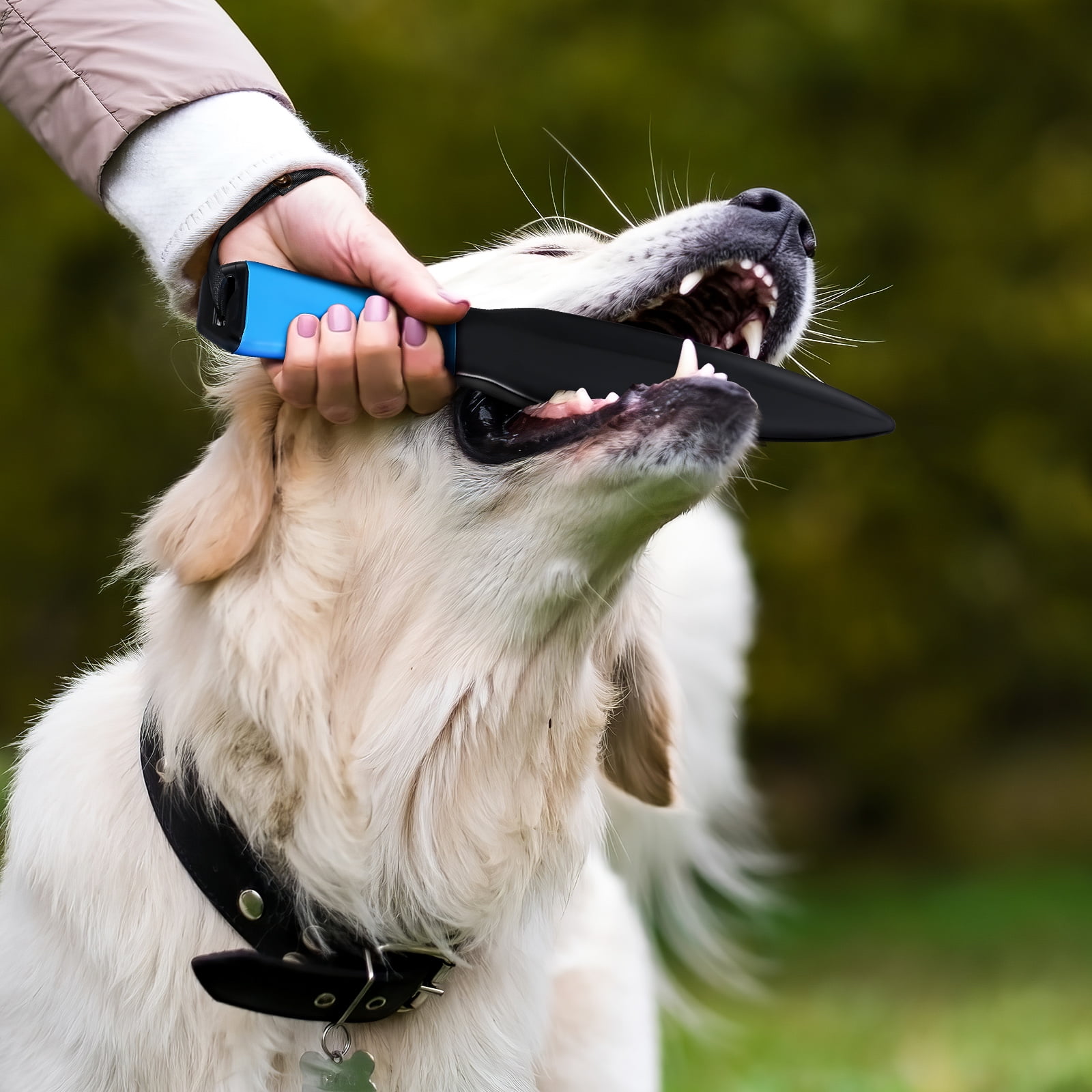 Dog Fighting Training Equipment