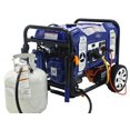 Ford 7750-Watt Dual Fuel Portable Generator with Electric Start – CARB ...