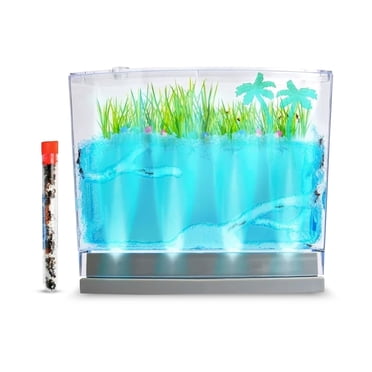 3D Ant Farm Gel Maze Nest Ant Novelty System Ant Habitat Educational ...