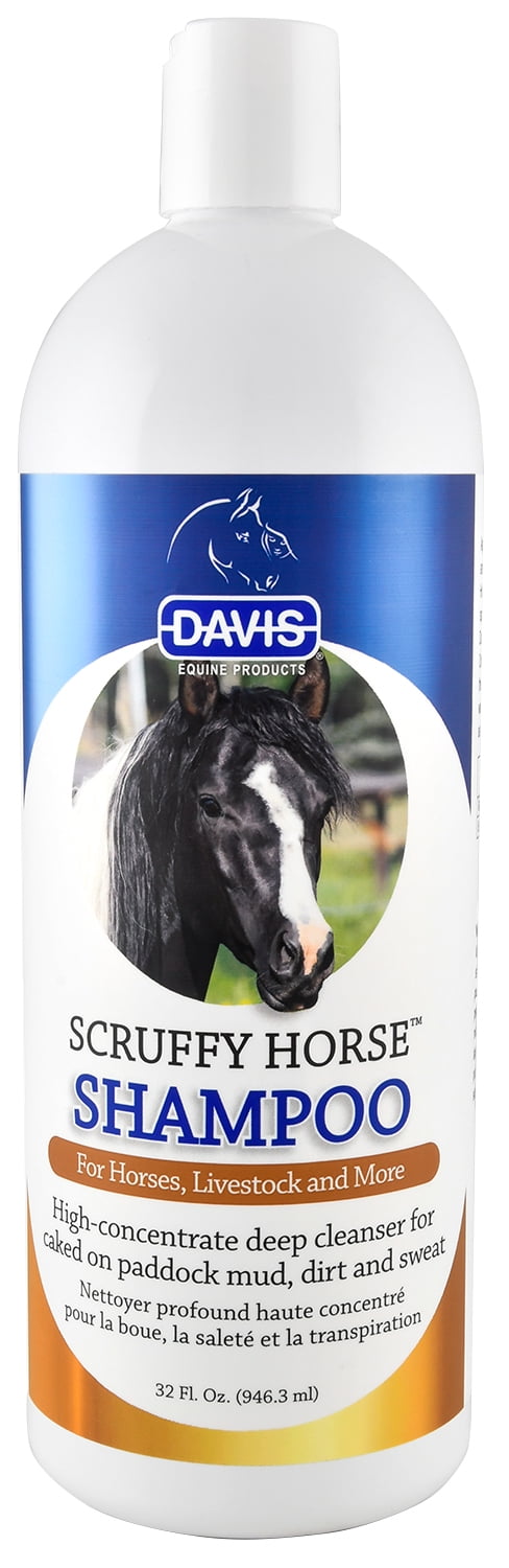 Best Shampoo For Horses