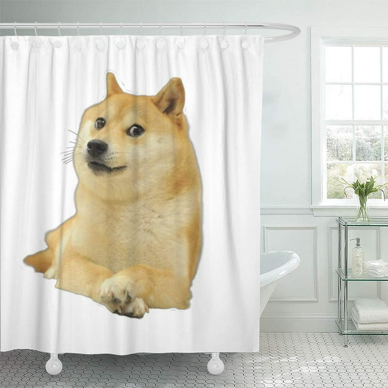 Shiba Inu Wow