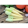 75 Seeds Japanese WHITE HULLESS POPCORN or Baby Corn Zea Mays Heirloom ...