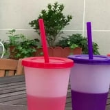 Cheers US 480ML Color Changing Tumbler Cups with Lids Straws - Reusable Bulk Tumblers with ...