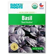 Blue Woodruff Seeds - Asperula Orientalis Blue Surprise Herb Seed ...