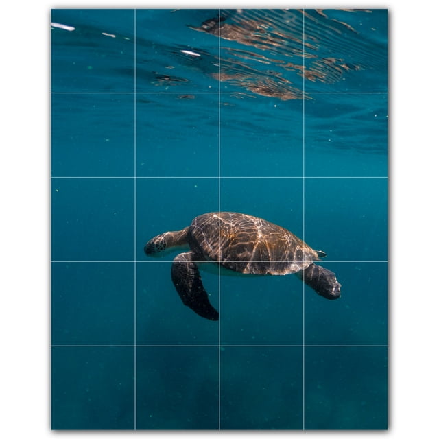 Picture-Tiles.com: Turtle Ceramic Tile Wall Mural WAL501078-45M. 24"W x ...