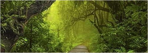 aquarium terrarium backgrounds main (rainforest with walkway, 60”l x 18 ...