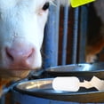 BESTYASH Water Float Valve with Reusable PVC for Livestock Drinking ...