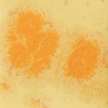 Mayco Stoneware Crystal Glaze, Celadon Bloom SW150, 1 Pint - Walmart.com