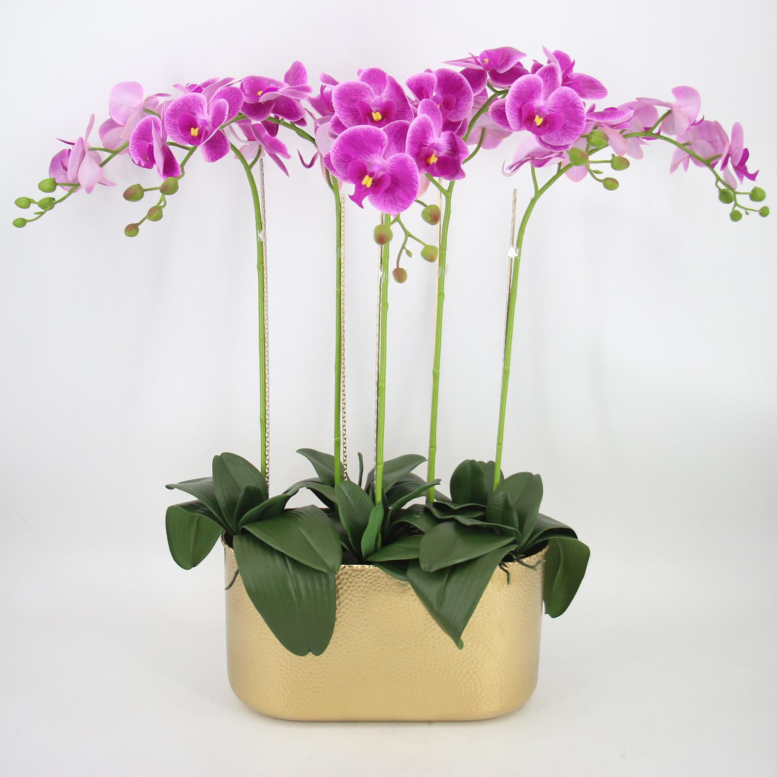 Click here for Runquan Butterfly Orchid Flower Pot Container Ligh... prices