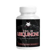 Kyolic Wakunaga Formula 110 Aged Garlic Extract CoQ10, 100 Capsules ...